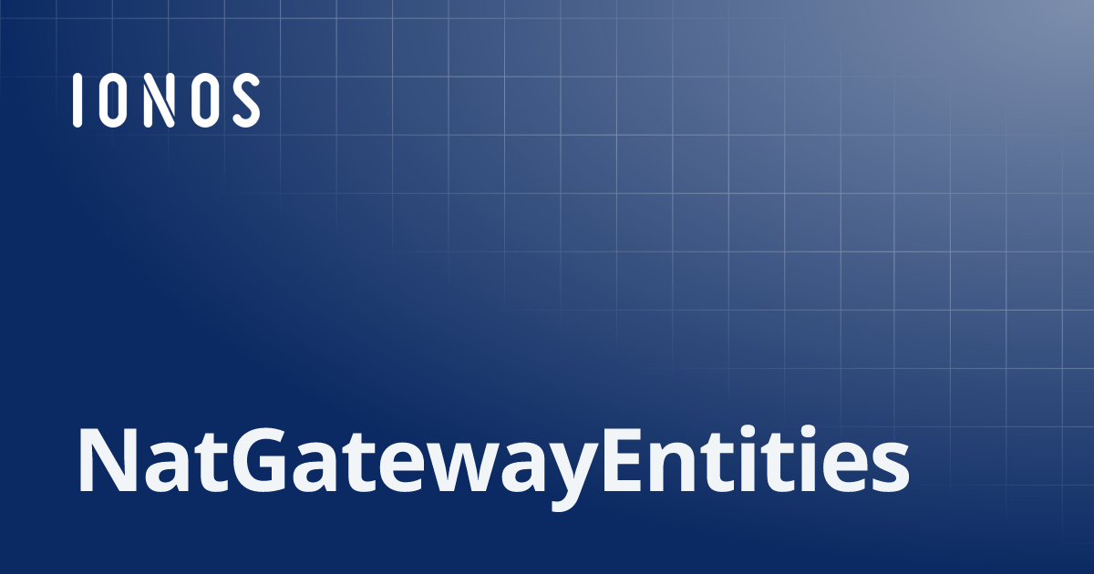 NatGatewayEntities | Java SDK